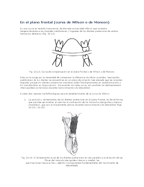 (DOC) En el plano frontal