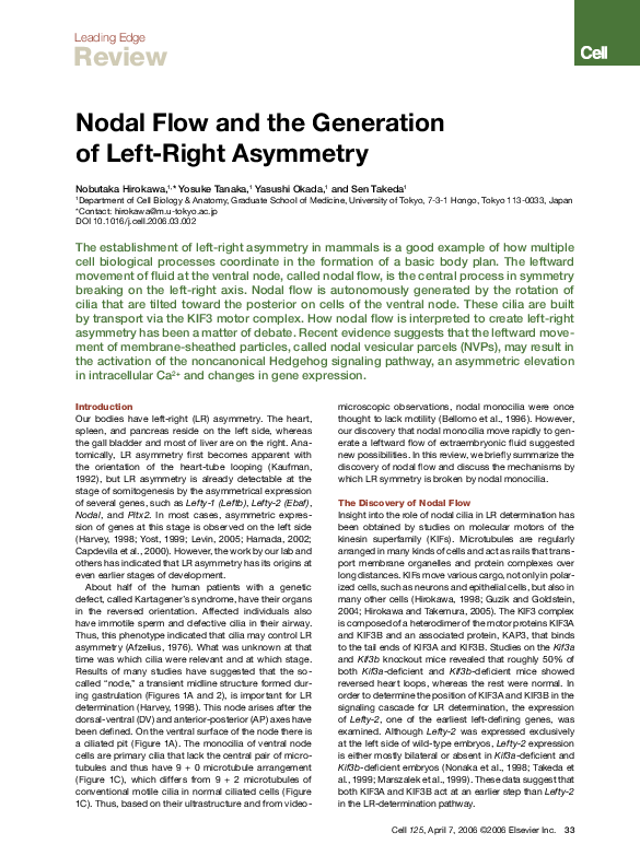 (PDF) Nodal Flow and the Generation of Left-Right Asymmetry | Yasushi ...