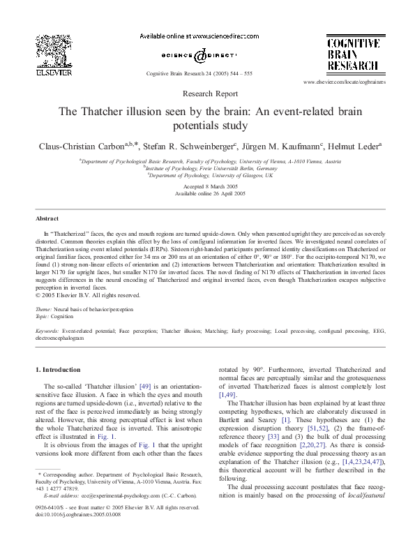 (PDF) The Thatcher illusion seen by the brain: an event-related brain ...