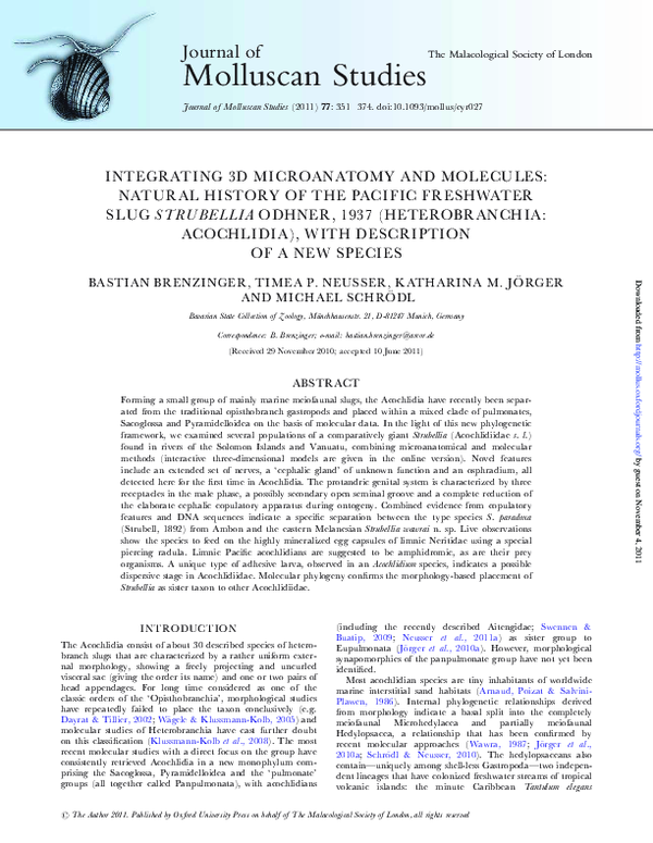 (PDF) Integrating 3D microanatomy and molecules: natural history of the ...