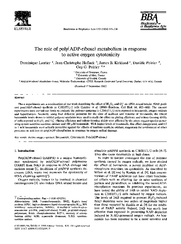 (PDF) The role of poly(ADP-ribose) metabolism in response to active ...