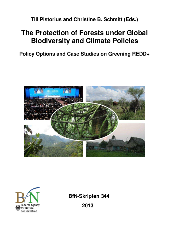 (PDF) The Protection of Forests under Global Biodiversity and Climate ...