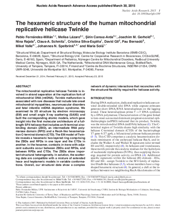 (PDF) The hexameric structure of the human mitochondrial replicative ...