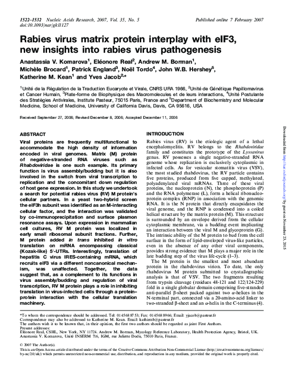 (PDF) Rabies virus matrix protein interplay with eIF3, new insights into rabies virus pathogenesis
