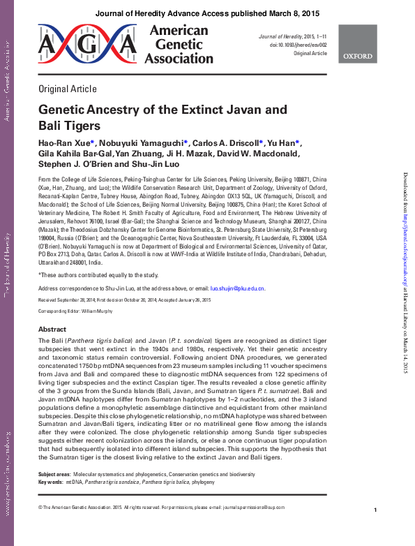 (PDF) Genetic Ancestry of the Extinct Javan and Bali Tigers