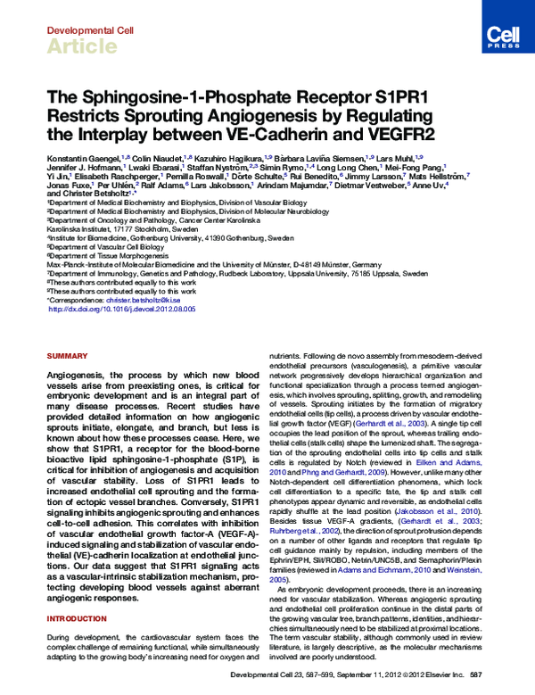 (PDF) The Sphingosine-1-Phosphate Receptor S1PR1 Restricts Sprouting ...