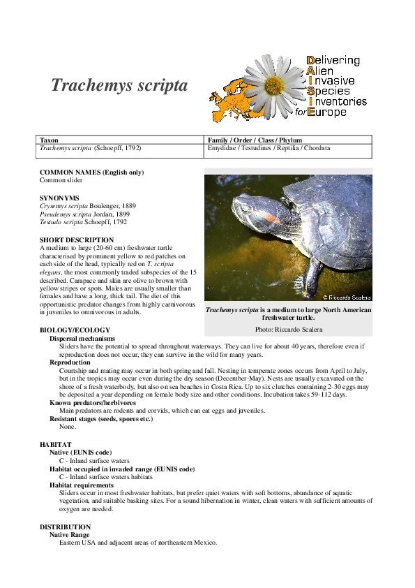 (PDF) Trachemys scripta