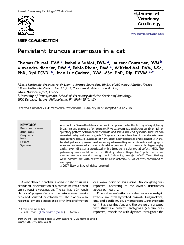 (PDF) Persistent truncus arteriosus in a cat