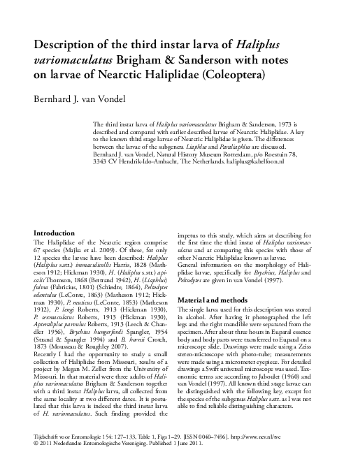 (PDF) Description of the third instar larva of Haliplus variomaculatus ...
