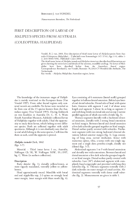 (PDF) First description of larvae of Haliplus-species from Australia ...