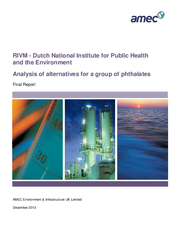 Pdf Amec Final Report