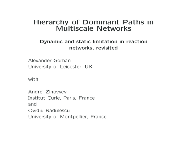 (PDF) Hierarchy of Dominant Paths in Multiscale Networks | Alexander Gorban - Academia.edu