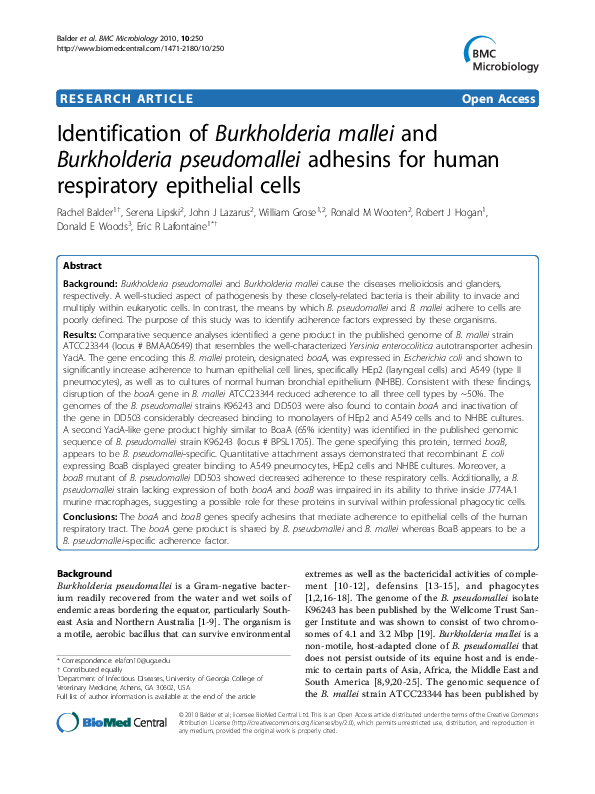 (PDF) Identification of Burkholderia mallei and Burkholderia ...
