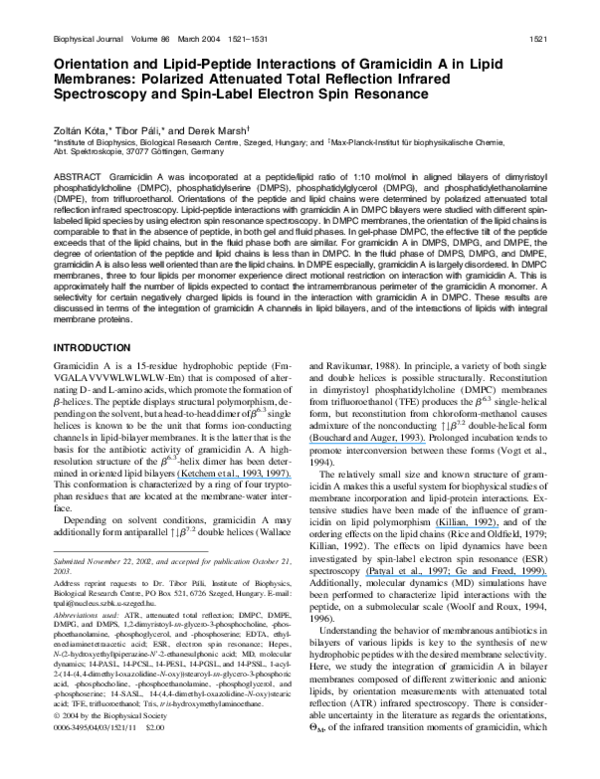 (PDF) Molecular Resolution Imaging of an Antibiotic Peptide in a Lipid Matrix | Sławomir Sęk ...