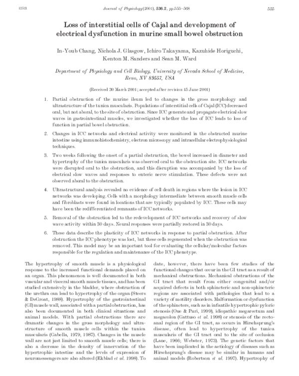 (PDF) The use of rapid assessment of enteric ICC and neuronal ...