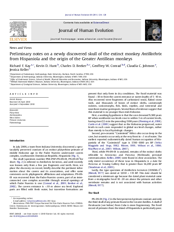 (PDF) Preliminary notes on a newly discovered skull of the extinct ...