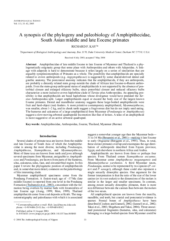 (PDF) A synopsis of the phylogeny and paleobiology of Amphipithecidae ...