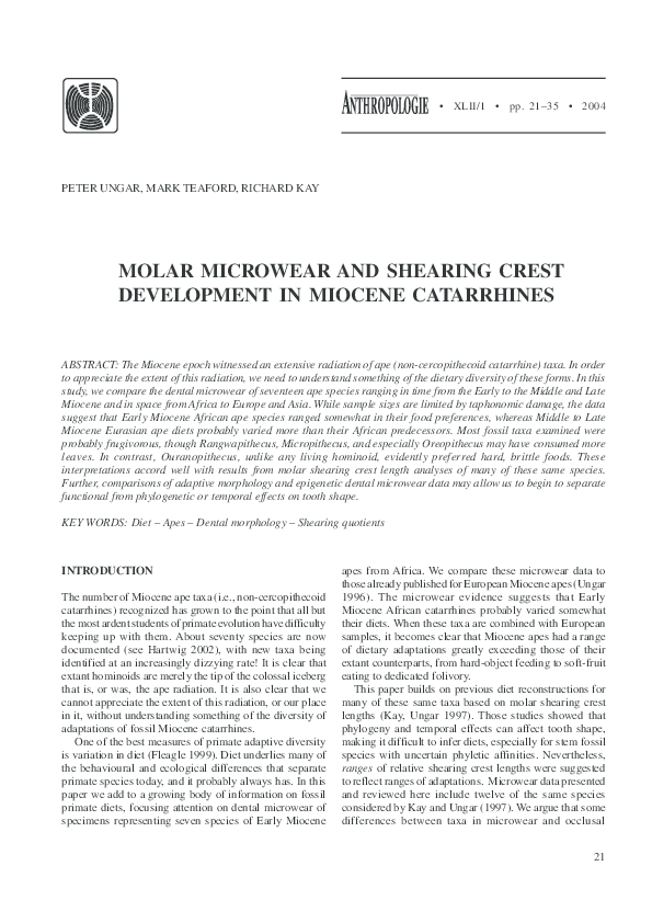 (PDF) Molar microwear and shearing crest development in Miocene Catarrhines