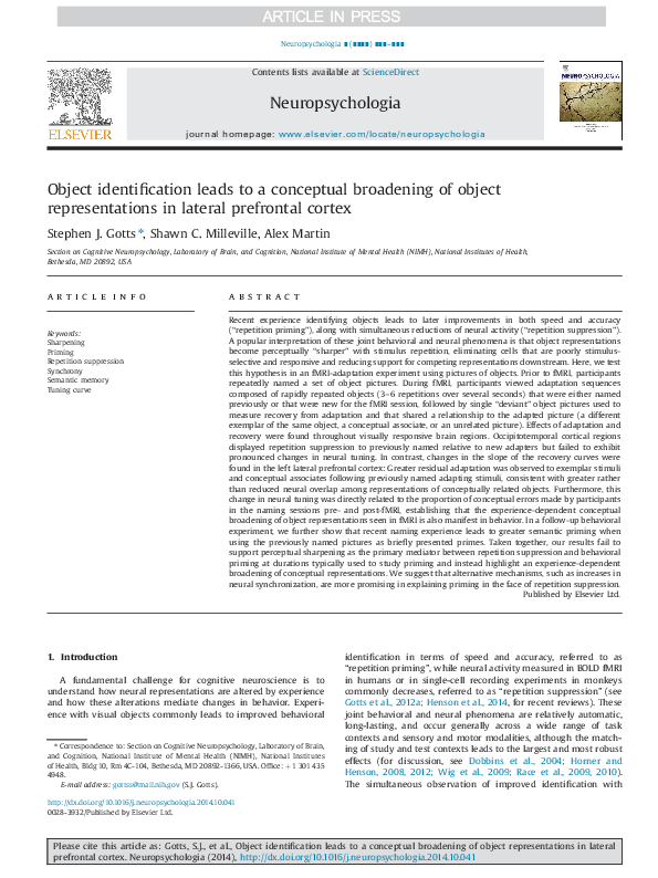 (PDF) Object identification leads to a conceptual broadening of object ...