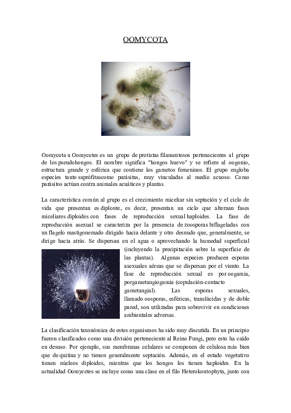 (DOC) OOMYCOTA