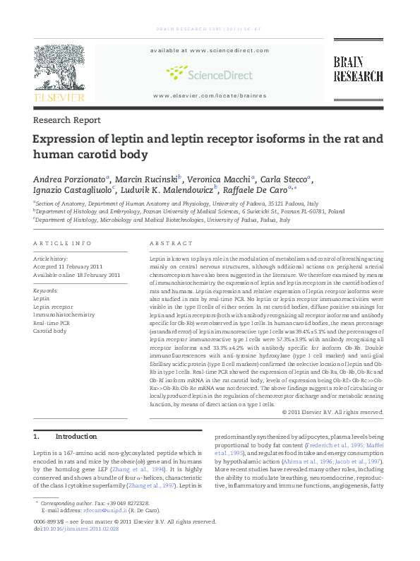 (PDF) Expression of leptin and leptin receptor isoforms in the rat and ...