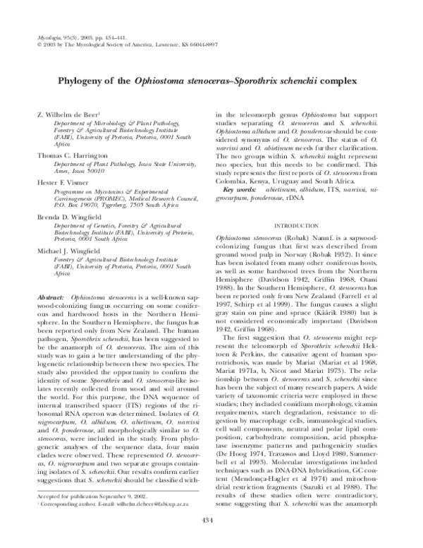(PDF) Phylogeny of the Ophiostoma stenoceras: Sporothrix schenckii Complex