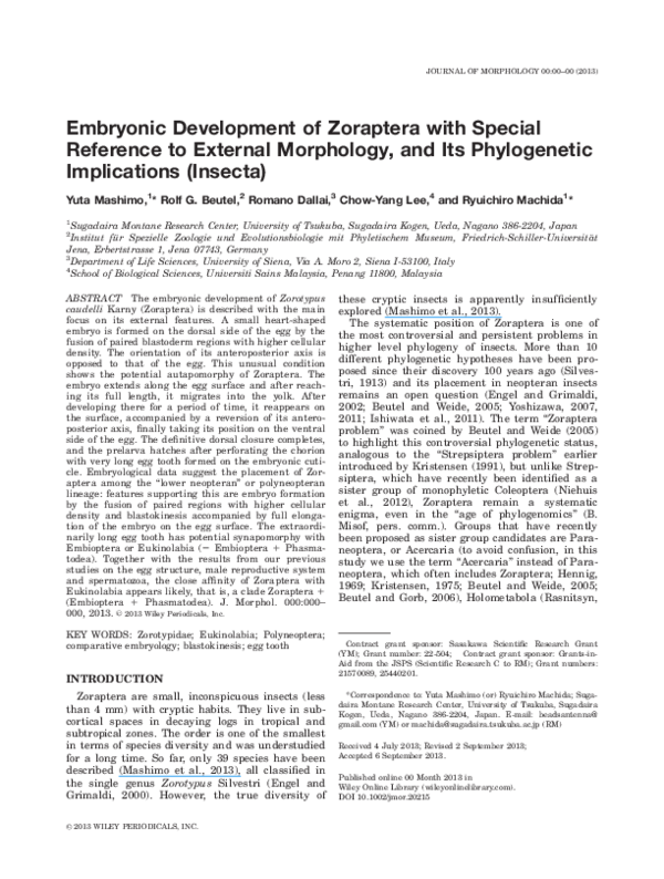 (PDF) Embryonic development of Zoraptera with special reference to ...