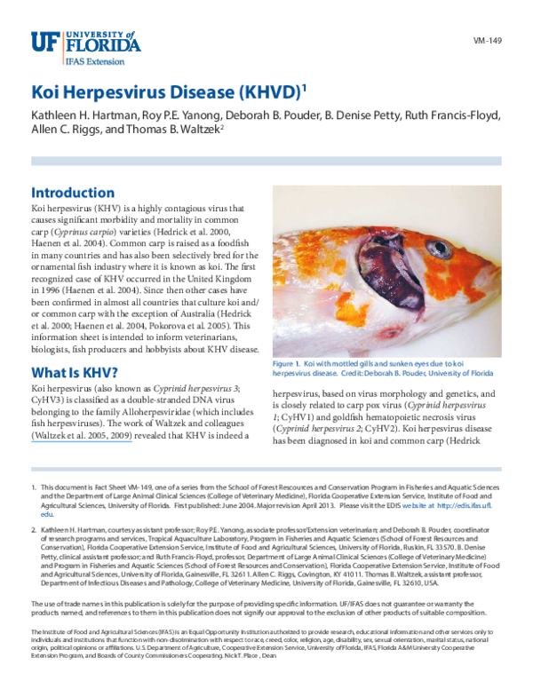 (PDF) Koi Herpes Virus (KHV) Disease1