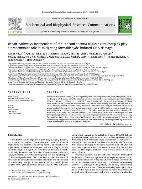 (PDF) Repair pathways independent of the Fanconi anemia nuclear core ...
