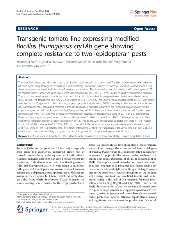 (PDF) Transgenic tomato line expressing modified Bacillus thuringiensis ...