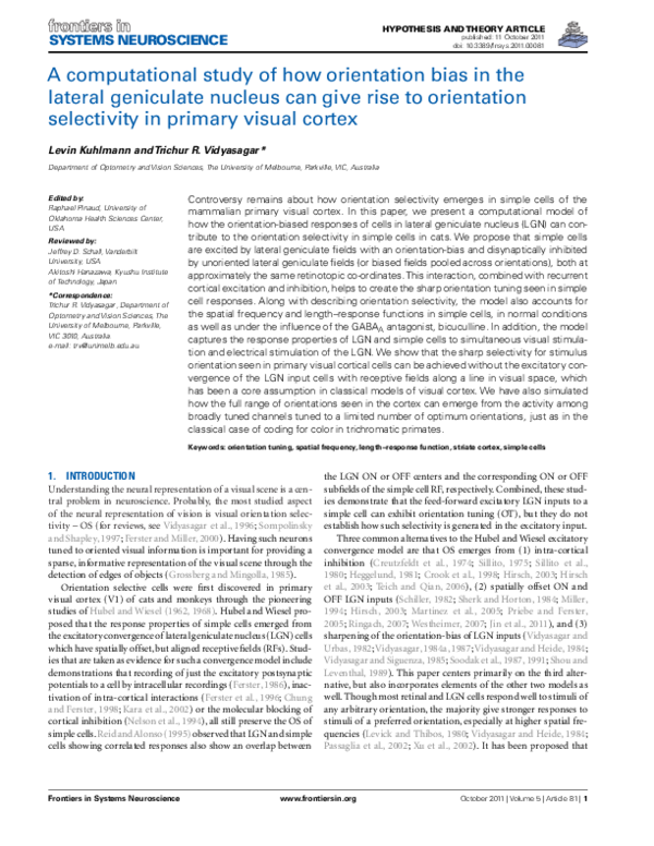 (PDF) Intracortical origin of visual maps | Misha Tsodyks - Academia.edu