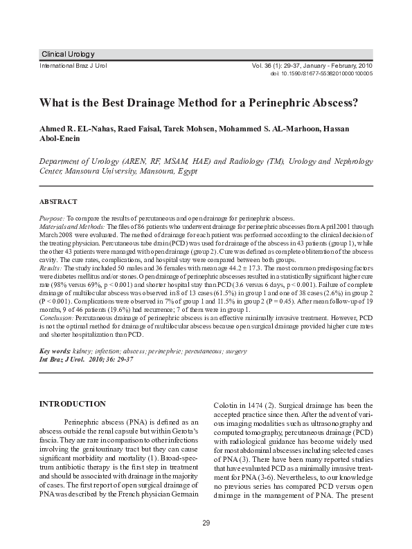 (PDF) What is the Best Drainage Method for a Perinephric Abscess ...