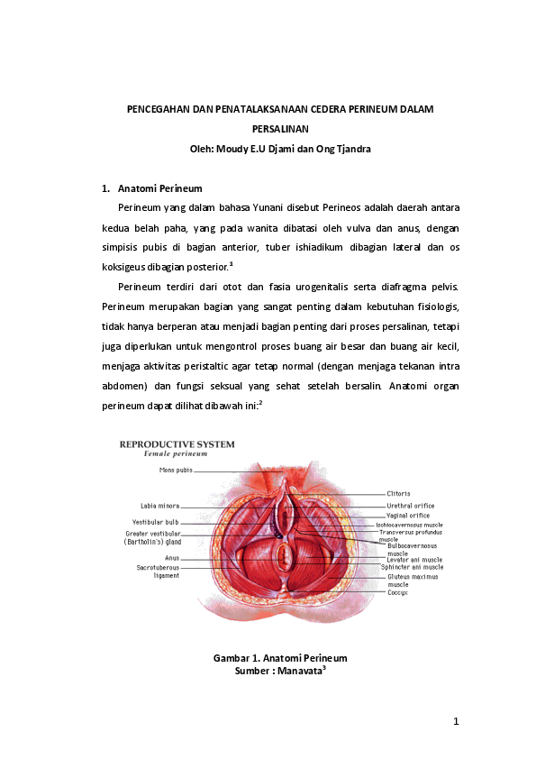 (PDF) PENCEGAHAN DAN PENATALAKSANAAN CEDERA PERINEUM DALAM PERSALINAN