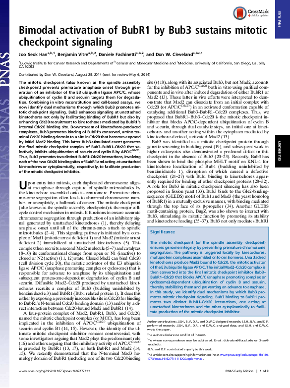 (PDF) Bimodal activation of BubR1 by Bub3 sustains mitotic checkpoint ...