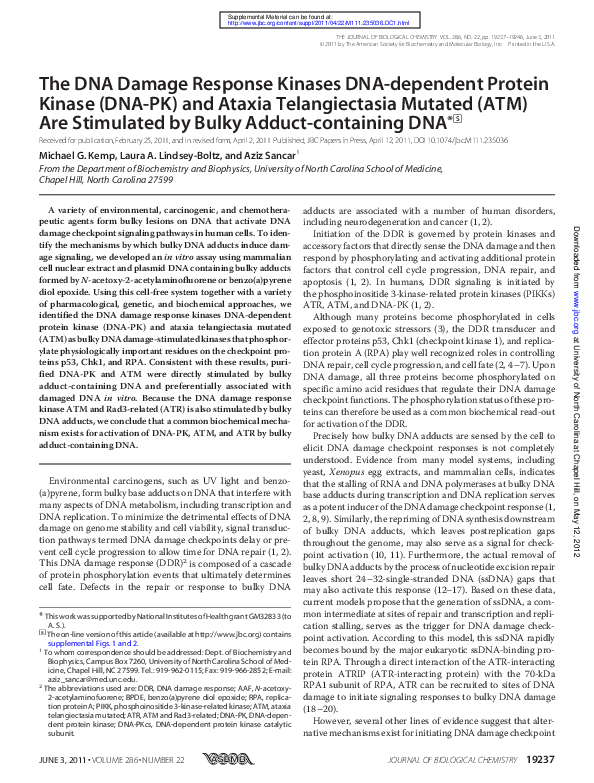 (PDF) The DNA Damage Response Kinases DNA-dependent Protein Kinase (DNA ...