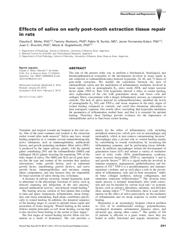 (PDF) Effects of saliva on early post-tooth extraction tissue repair in ...