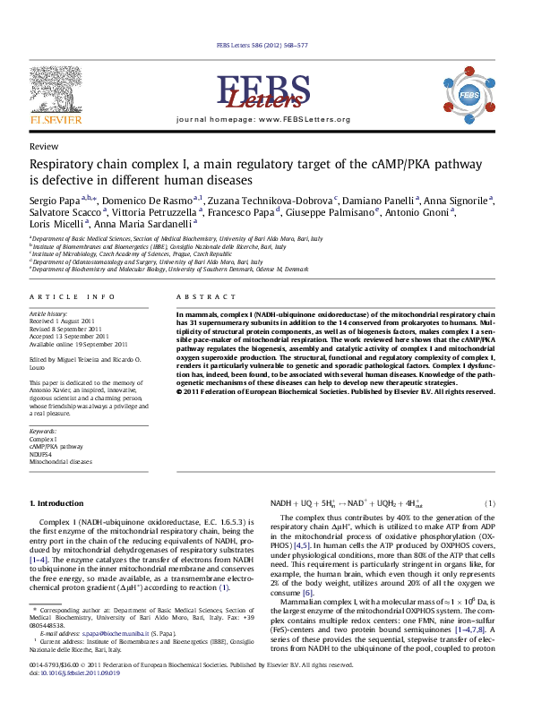 (PDF) Respiratory chain complex I, a main regulatory target of the cAMP ...