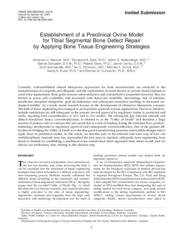 (PDF) Establishment of a Preclinical Ovine Model for Tibial Segmental ...