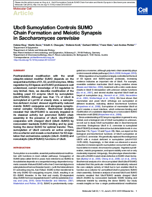 Pdf Ubc9 Sumoylation Controls Sumo Chain Formation And Meiotic