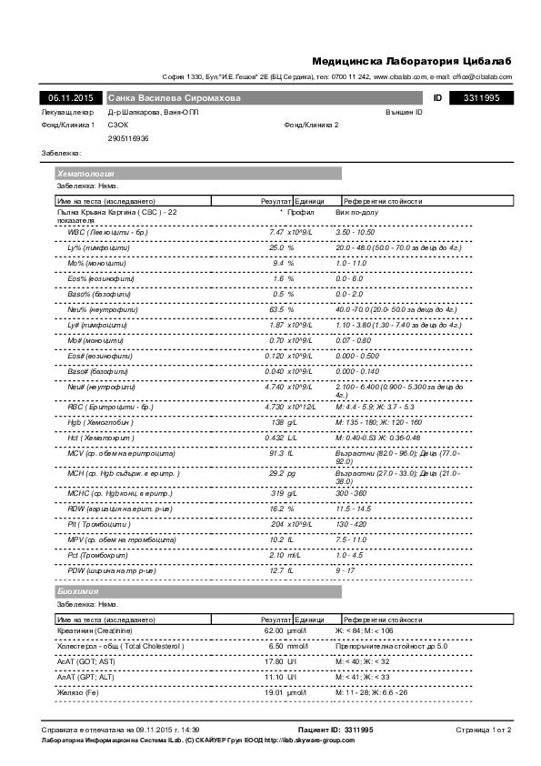 Pat Test Report Template