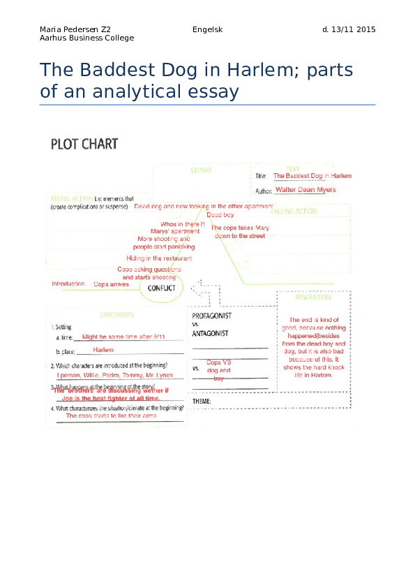 (DOC) The Baddest Dog in Harlem Opgaven