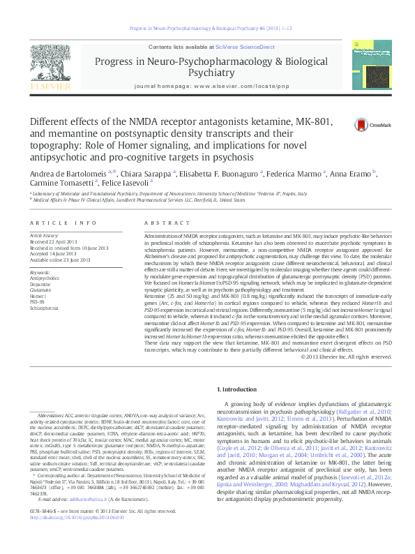 (PDF) Different effects of the NMDA receptor antagonists ketamine, MK ...