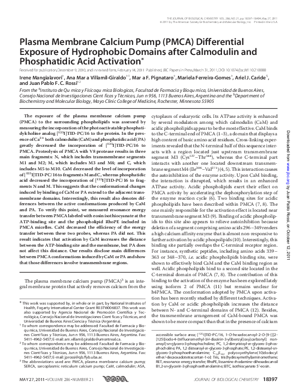 (PDF) Plasma Membrane Calcium Pump (PMCA) Differential Exposure of ...
