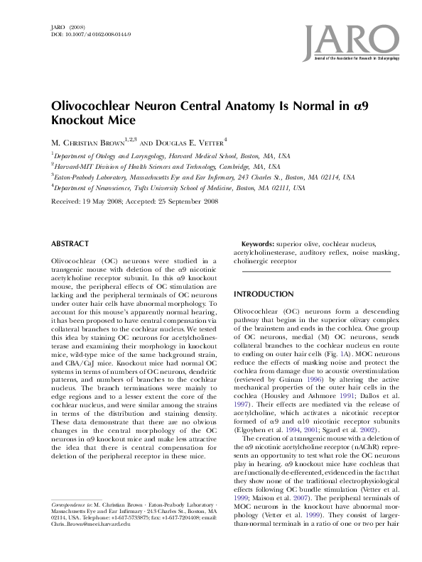 (PDF) Olivocochlear Neuron Central Anatomy Is Normal in α9 Knockout ...
