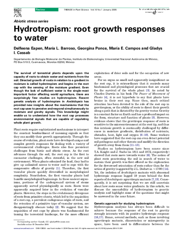 (PDF) Hydrotropism: root growth responses to water