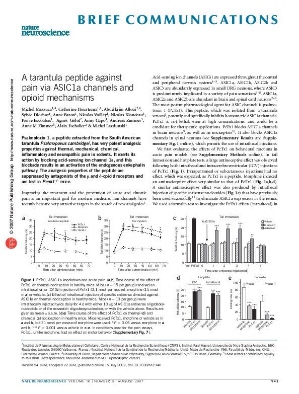 (PDF) A tarantula peptide against pain via ASIC1a channels and opioid ...