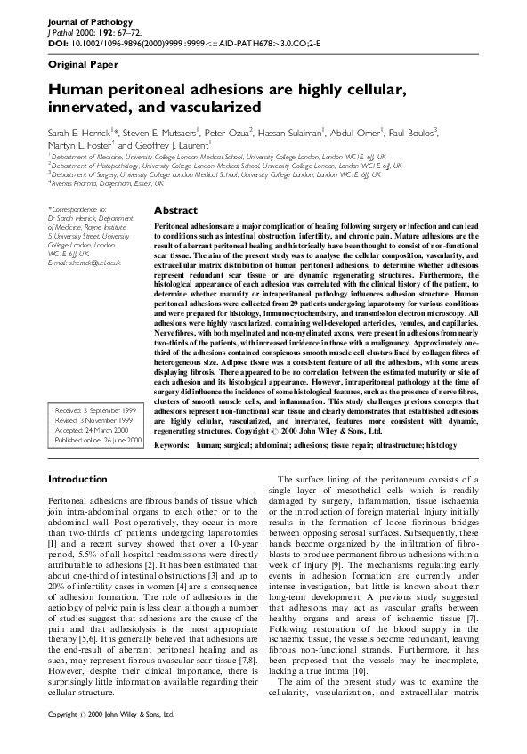 (PDF) Human peritoneal adhesions are highly cellular, innervated, and ...