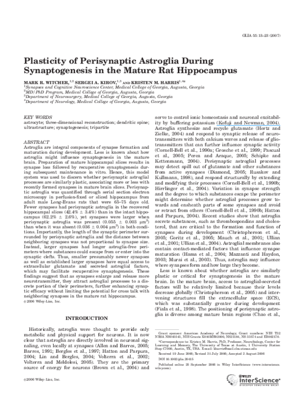 (PDF) Plasticity of perisynaptic astroglia during synaptogenesis in the ...