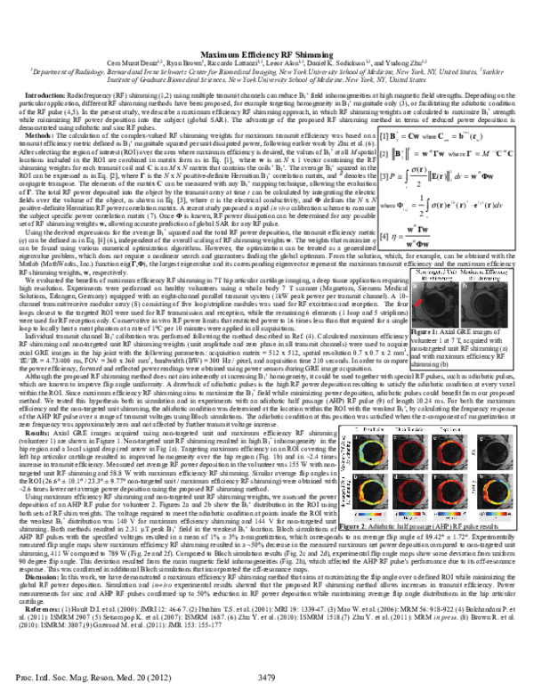 (PDF) Maximum Efficiency RF Shimming