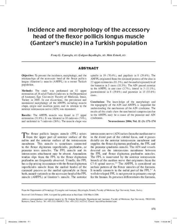 (PDF) Incidence and morphology of the accessory head of the flexor ...